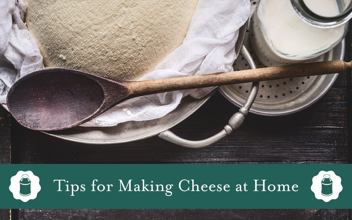 Making Cheese at Home – Cheese and Yoghurt Making