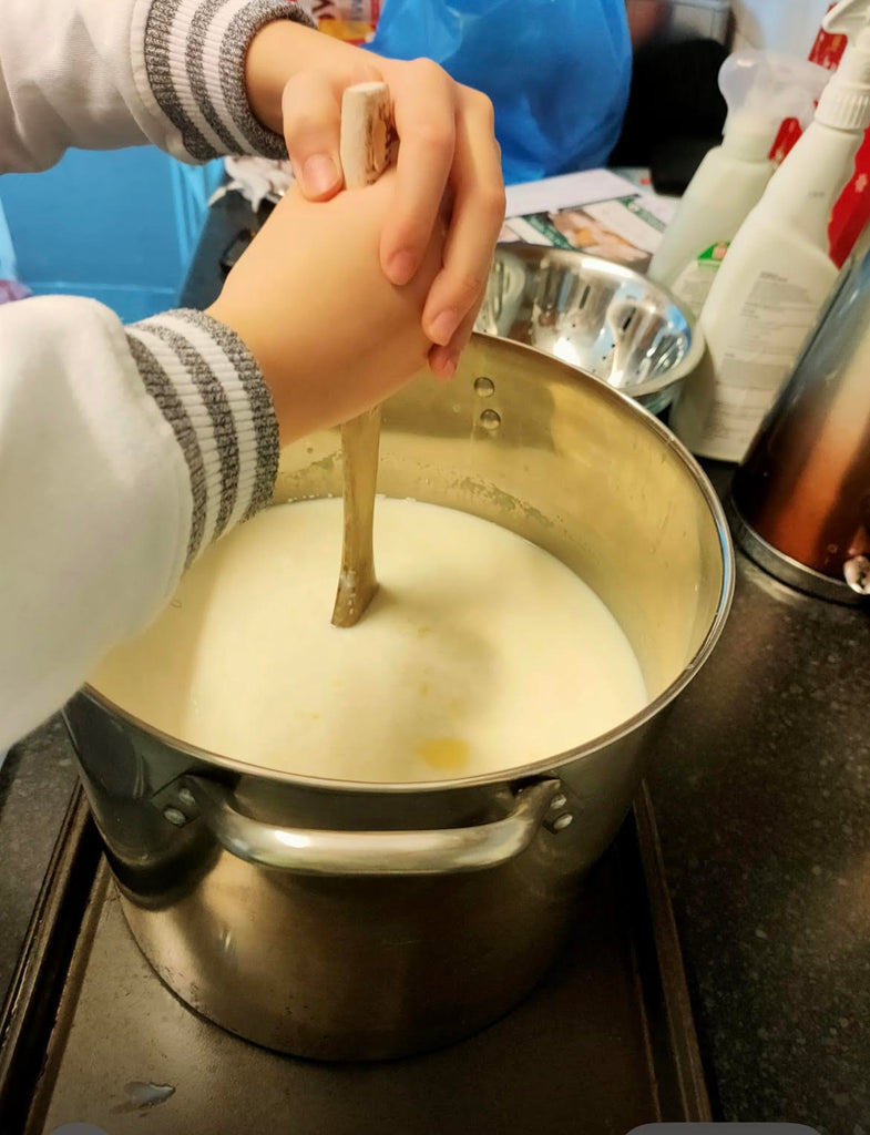 Cheese and Yoghurt Making